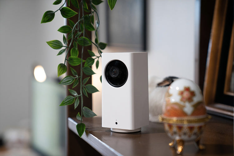 Wyze Global